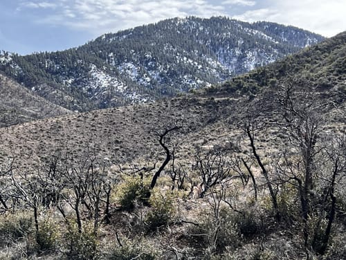 2023 Best Trails near Pinal Mountains | AllTrails
