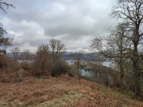 10 Best Walking Trails in Windermere | AllTrails