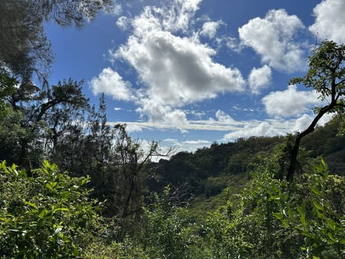 2023 Best 10 River Trails in Honolulu | AllTrails