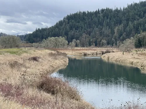 Best River Trails in Kelso | AllTrails