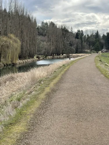 Best River Trails in Kelso | AllTrails
