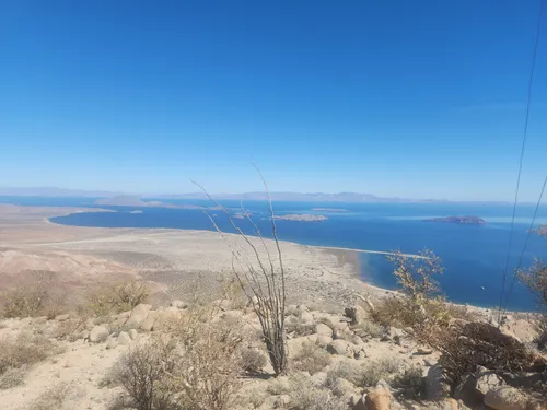 2023 Best 10 Views Trails in Bahía de Los Ángeles | AllTrails