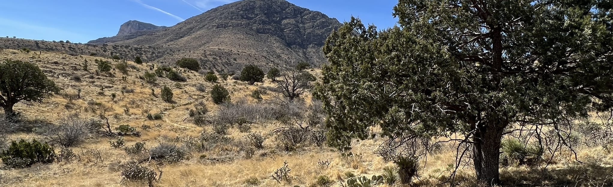 Hunter Peak via Bear Canyon Trail: 1.246 foto's - Texas | AllTrails