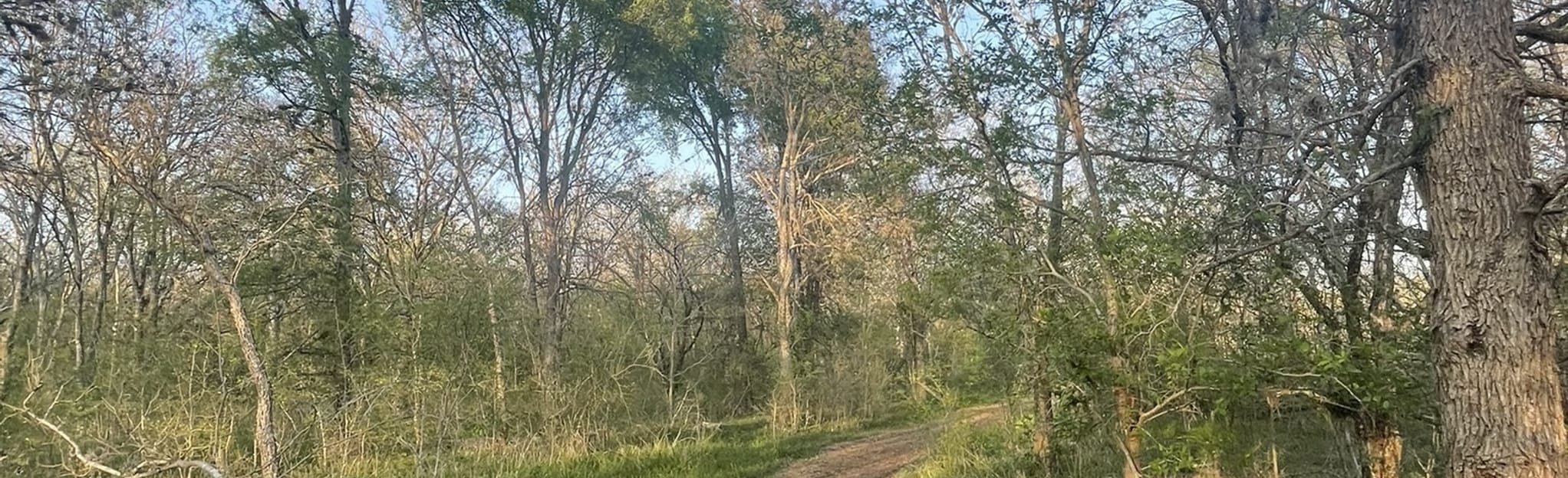 Headwaters Main Loop: 98 Reviews, Map - Texas | AllTrails