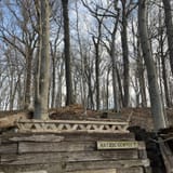 Leakin Park Loop Trail, Maryland - 469 Reviews, Map | AllTrails