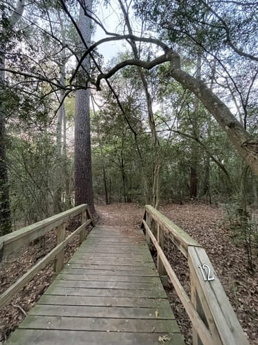 Best Hikes and Trails in Edith L. Moore Nature Sanctuary | AllTrails