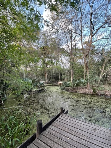 Best Hikes and Trails in Edith L. Moore Nature Sanctuary | AllTrails