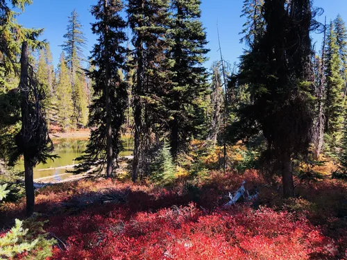 2023 Best River Trails in Fort Klamath | AllTrails