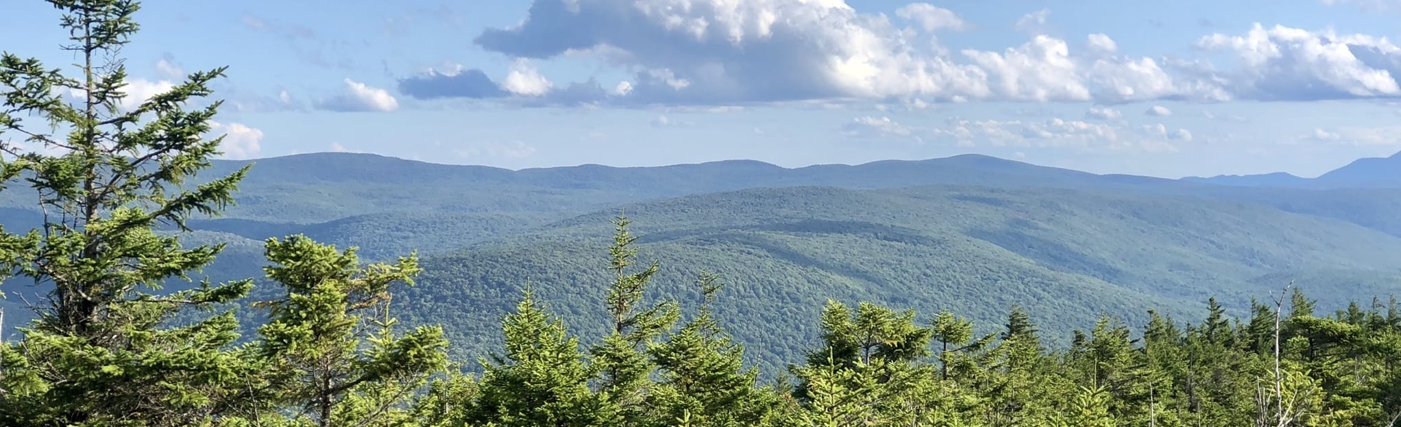 Bald Mountain Trail: 50 Reviews, Map - Vermont | AllTrails
