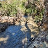 Sullivan Canyon Trail, California - 801 Reviews, Map | AllTrails