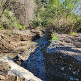 Sullivan Canyon Trail, California - 801 Reviews, Map | AllTrails
