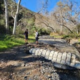 Sullivan Canyon Trail, California - 801 Reviews, Map | AllTrails
