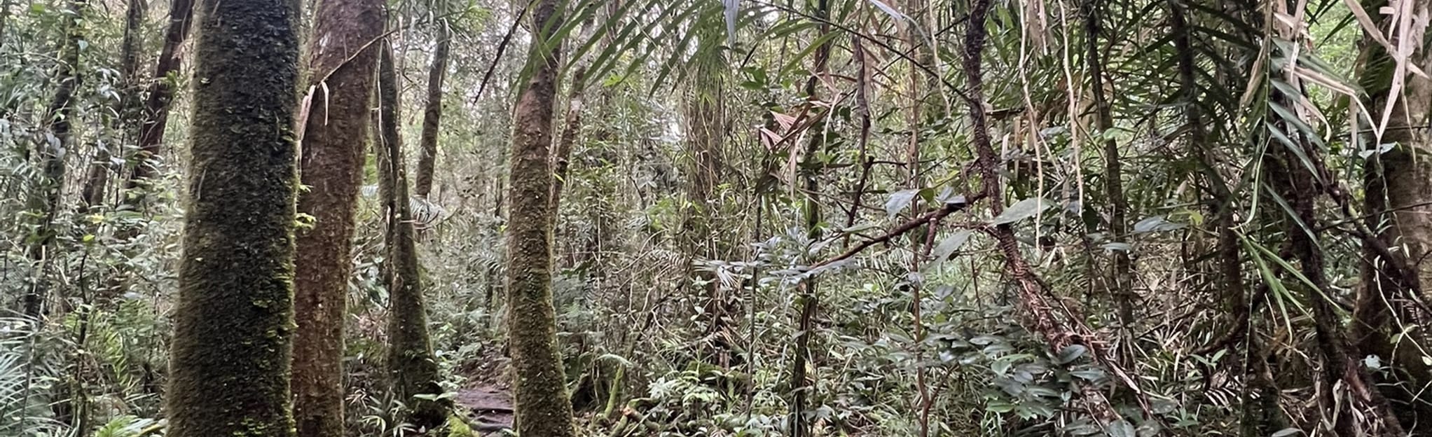 Silau Silau - Mempening | Map, Guide - Sabah, Malaysia | AllTrails