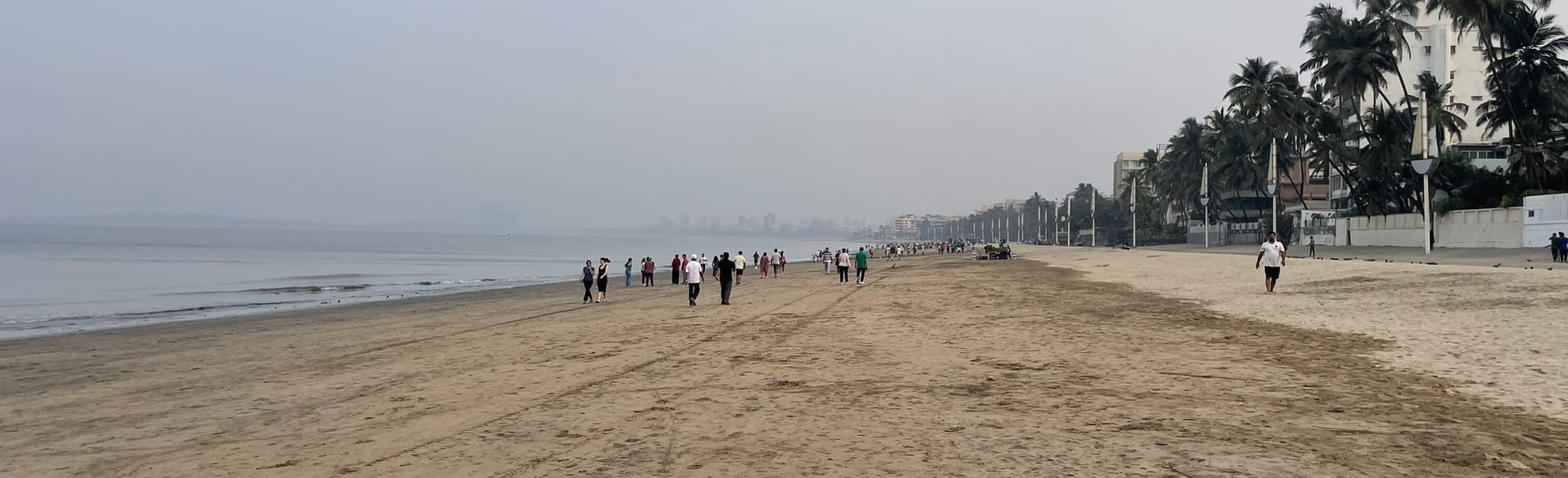 Juhu Beach - Danda Beach: 9 Reviews, Map - Maharashtra, India | AllTrails