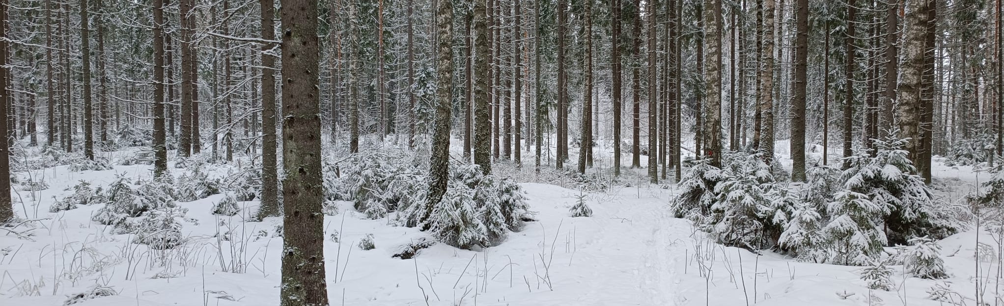 AllTrails | Joutsijärvi Nature Trail: 4 Reviews, Map - Satakunta, Finland