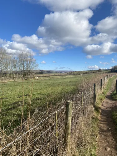 Best Hikes and Trails in Werneth Low | AllTrails