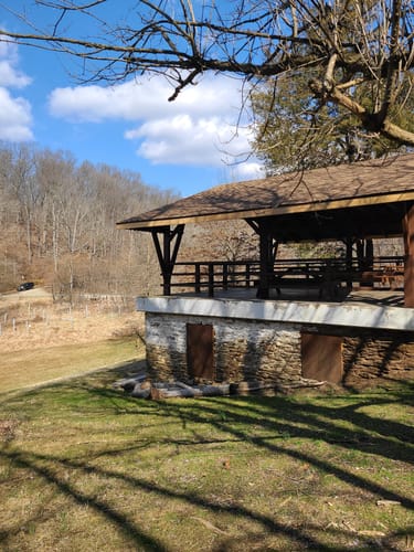 Best Hikes and Trails in BeeTree Preserve | AllTrails