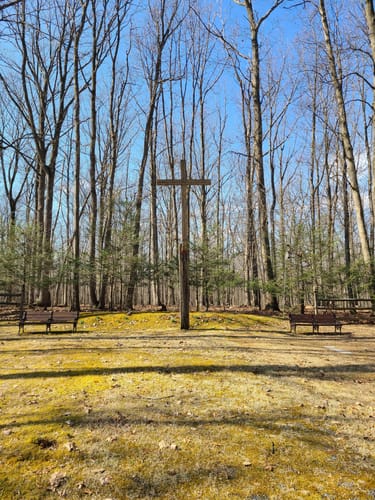 Best Hikes and Trails in BeeTree Preserve | AllTrails
