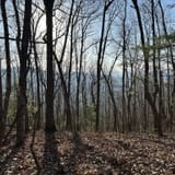 Duncan Ridge Trail, Georgia - 74 Reviews, Map | AllTrails
