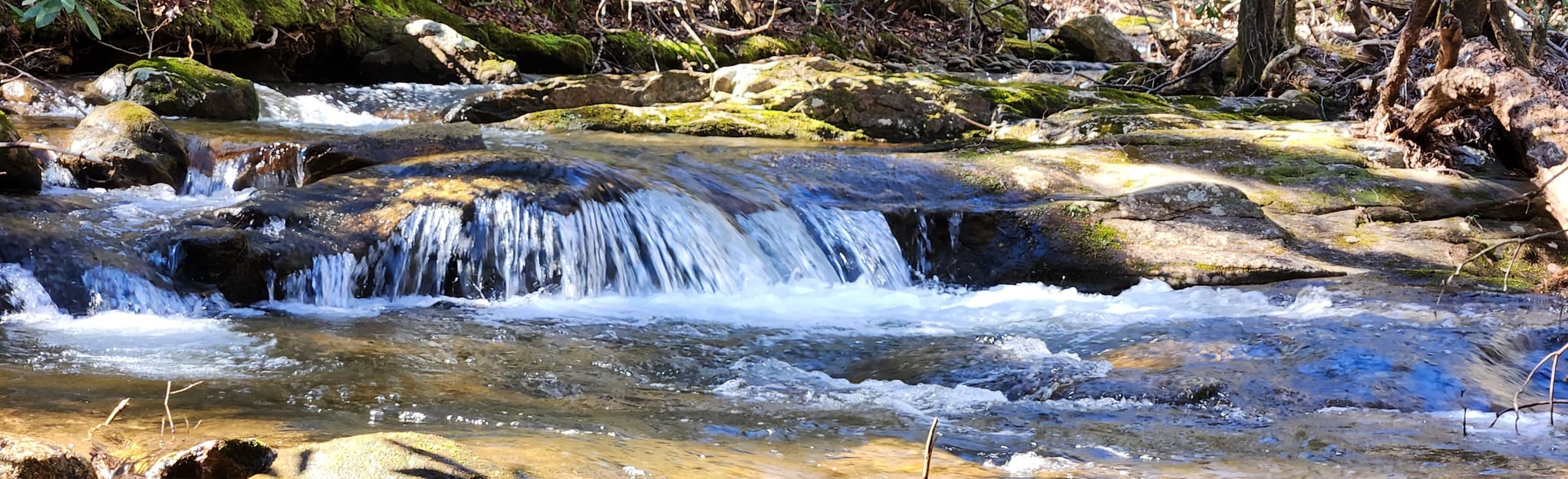 Little Ridge Creek Falls: 19 Reviews, Map - Georgia | AllTrails