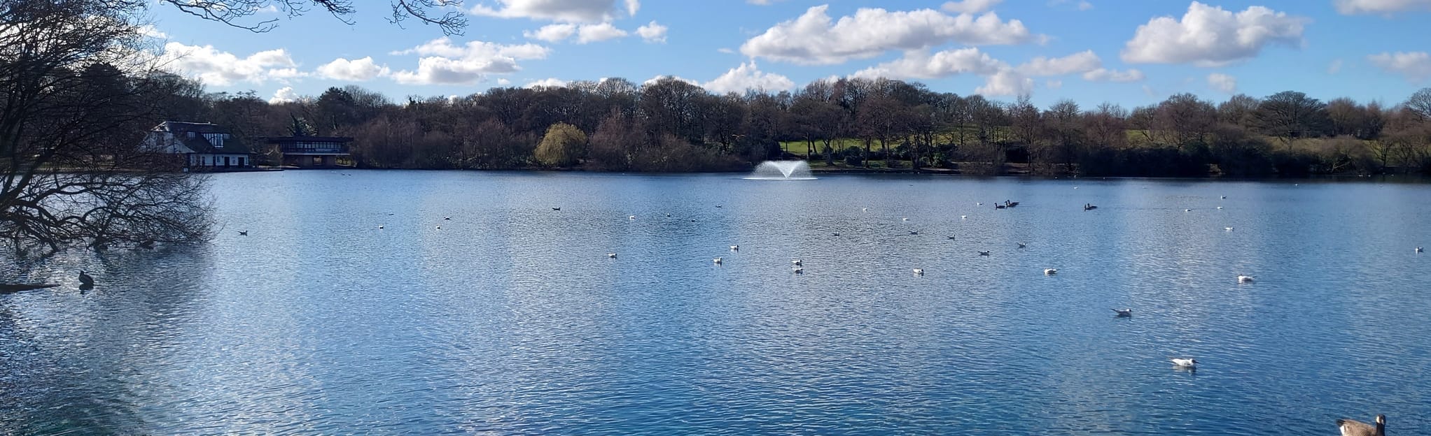 Taylor Park Big Dam Circular: 58 foto - Inghilterra | AllTrails