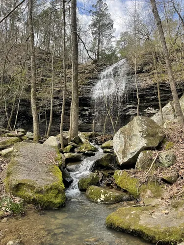 10 Best Trails and Hikes in Heber Springs | AllTrails
