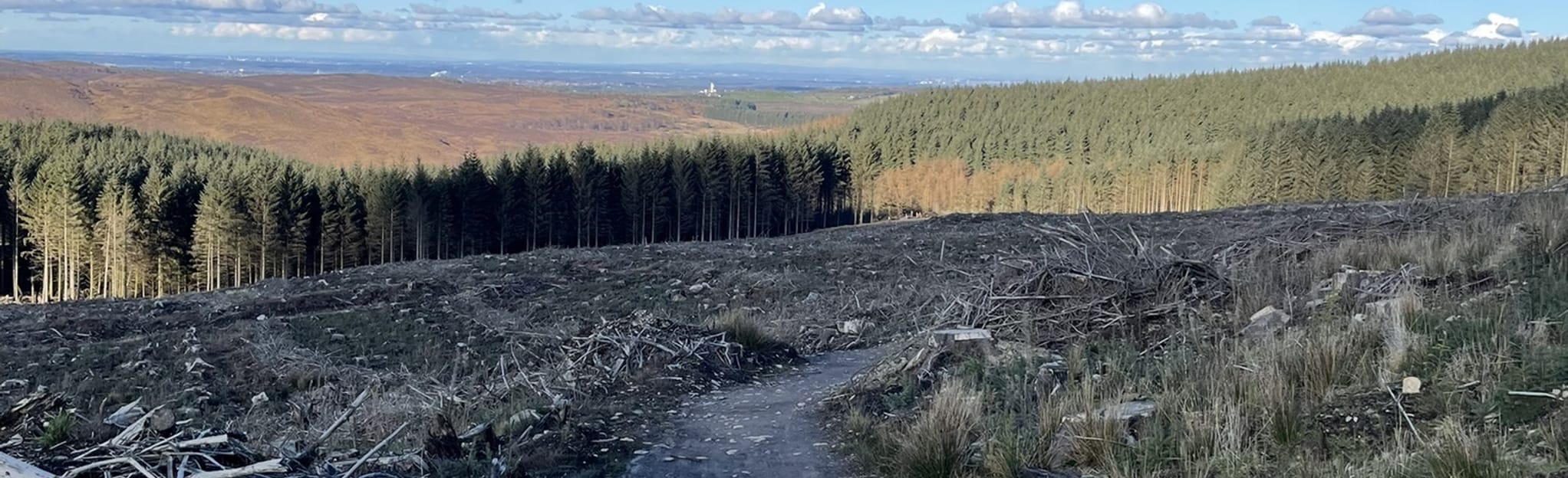 Llandegla Forest Blue Route, Wrexham, Wales - 41 Reviews, Map | AllTrails