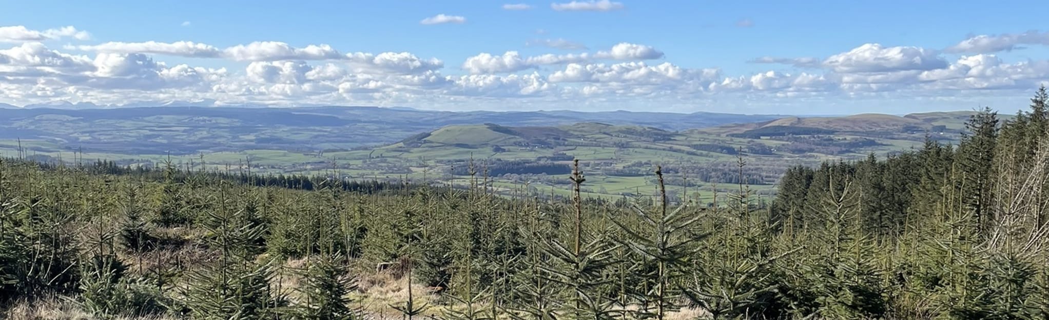 Llandegla Red and Golden Trails: 20 Reviews, Map - Wrexham, Wales ...