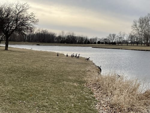 Best Hikes and Trails in East Lake Park | AllTrails