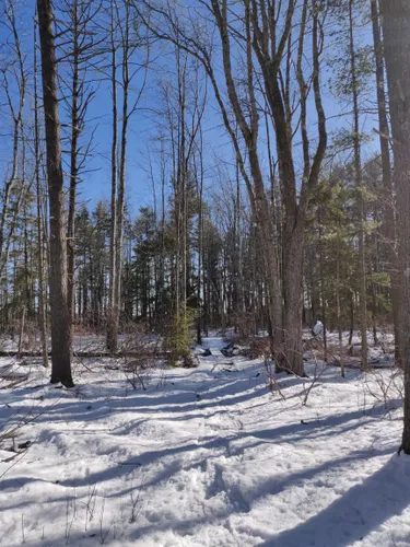 Best Hikes and Trails in Rachel Carson National Wildlife Refuge | AllTrails