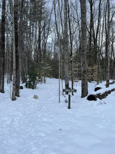 Best Hikes and Trails in Fort Dummer State Park | AllTrails