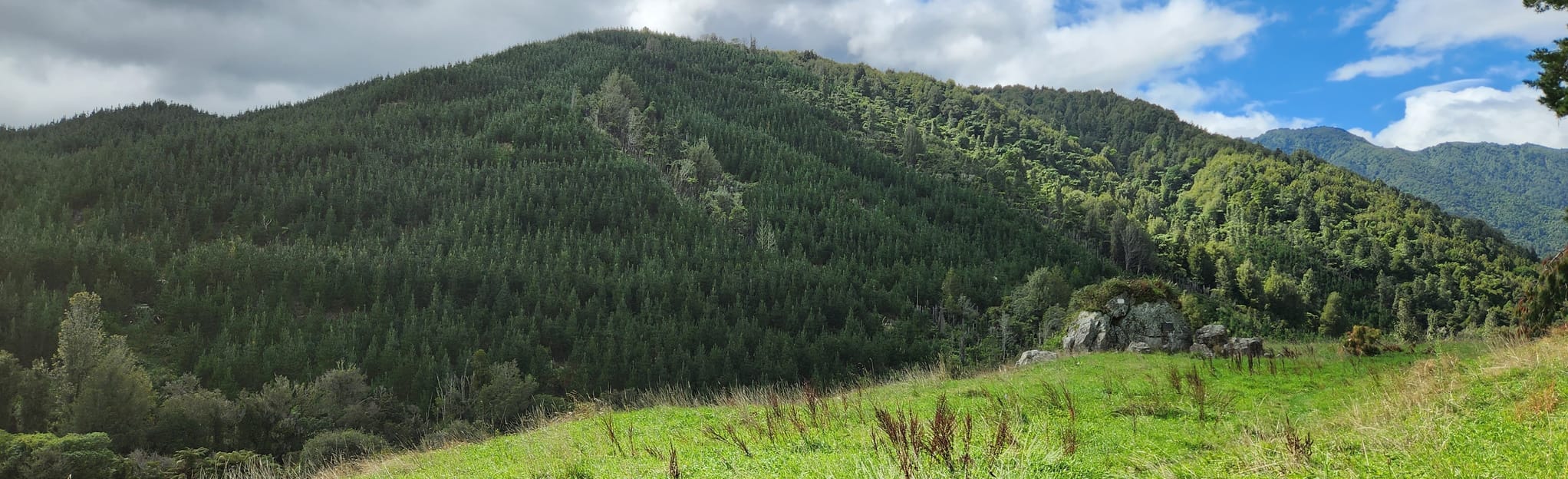 Ohau Gorge Loop Track: 28 Fotos - Manawatu-Wanganui, Neuseeland | AllTrails