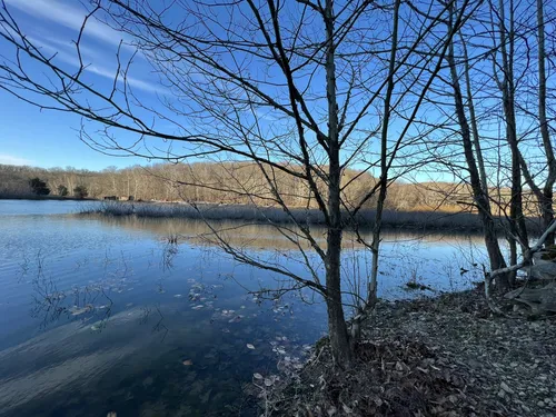 10 Best Trails and Hikes in Bloomington | AllTrails