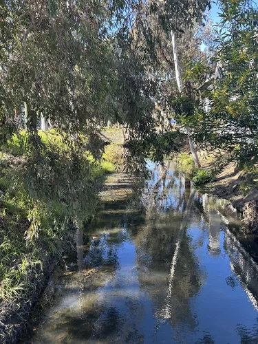 Best Hikes and Trails in Richard Bard Bubbling Springs | AllTrails