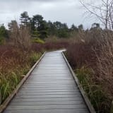Devils Lake Boardwalk Trail, Oregon - 43 Reviews, Map | AllTrails