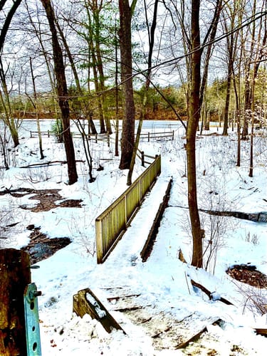 Best Hikes and Trails in Mill River Recreation Area | AllTrails