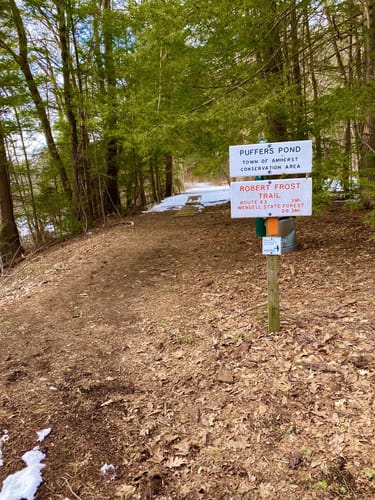 Best Hikes and Trails in Mill River Recreation Area | AllTrails
