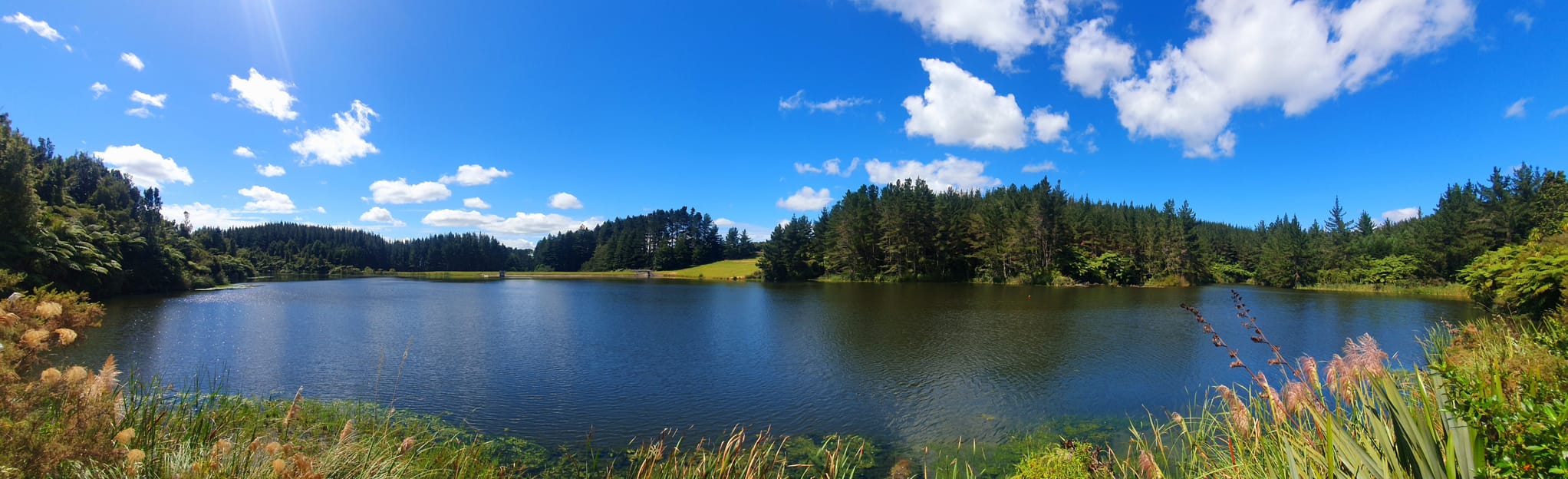 Te Miro Lake Loop, Waikato, New Zealand - 22 Reviews, Map | AllTrails