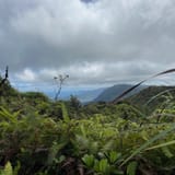 Manana Ridge Trail to Ko'olau Summit, Oahu, Hawaii - 172 Reviews, Map ...