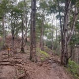 Manana Ridge Trail to Ko'olau Summit, Oahu, Hawaii - 172 Reviews, Map ...
