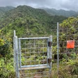 Manana Ridge Trail to Ko'olau Summit, Oahu, Hawaii - 172 Reviews, Map ...