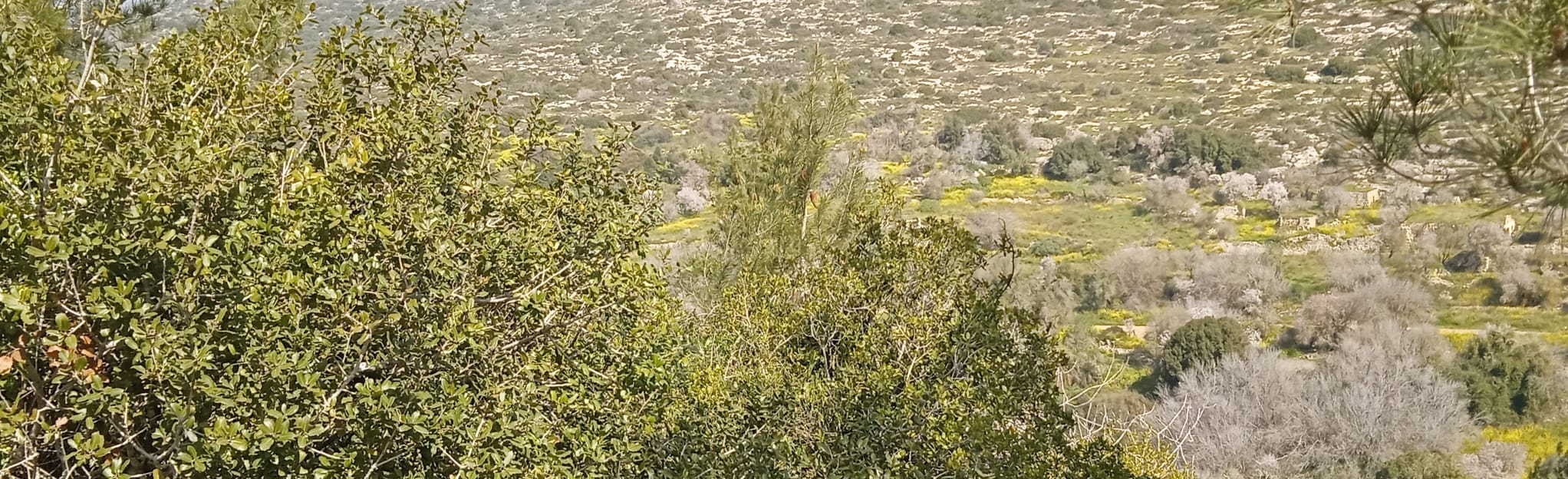 Hanot Ruins, Ein Tanoor and Ein Mata, Jerusalem, Israel - 7 Reviews ...