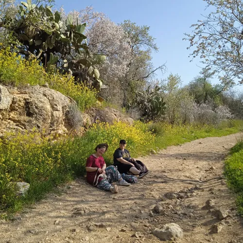 Best Hikes and Trails in Bar Giora Forest | AllTrails