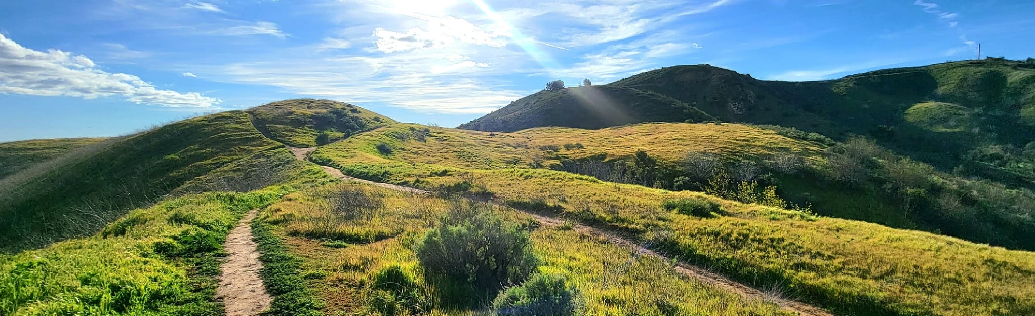 AllTrails | Mission Point via Bee Canyon and Decampos Trail Loop: 340 ...