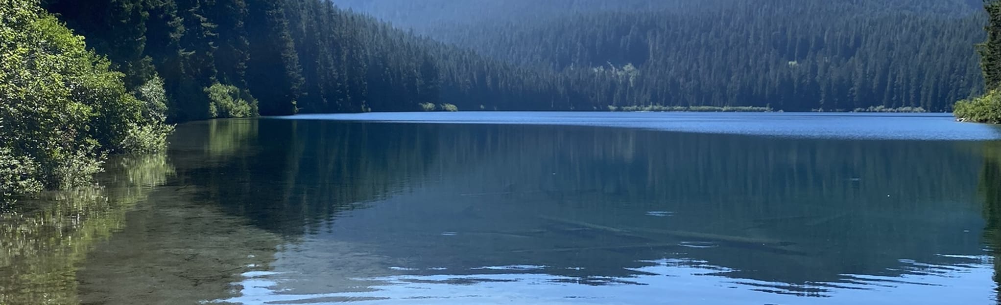 Blue Lake Ridge Trail: 14 Reviews, Map - Washington | AllTrails