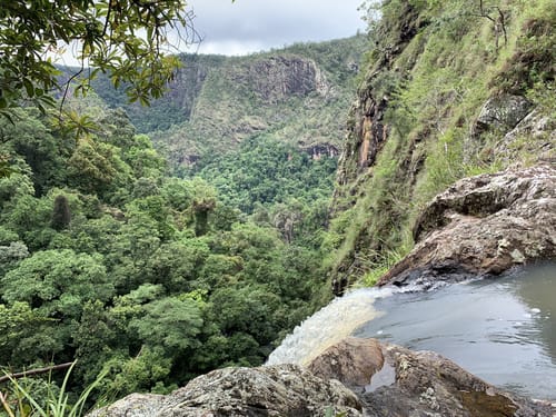 Best 10 Hikes and Trails in Girringun National Park | AllTrails