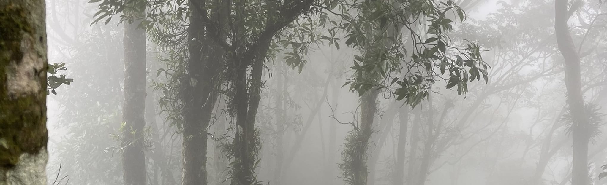 Mount Burangrang via Command Post: 2 Reviews, Map - West Java ...