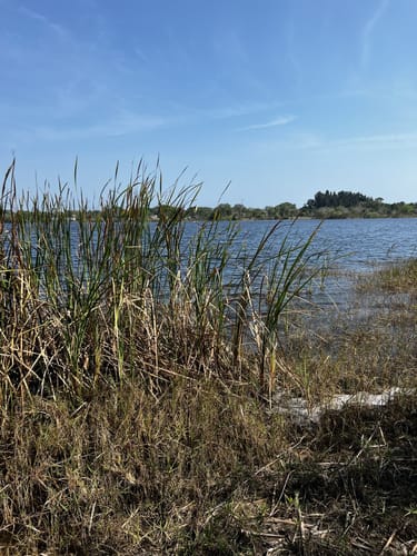 Best Hikes and Trails in Indrio Savannahs Preserve | AllTrails