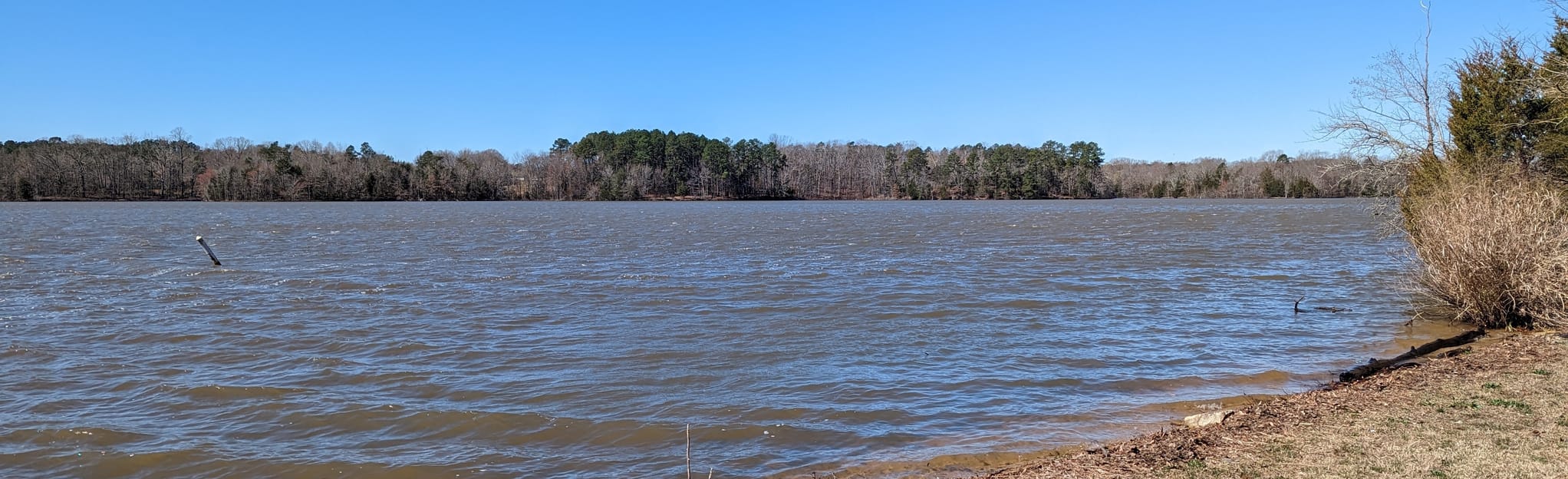 Lake Cammack Trail: 42 Reviews, Map - North Carolina | AllTrails
