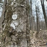 Peg Leg Mine Trail, Tennessee - 79 Reviews, Map | AllTrails